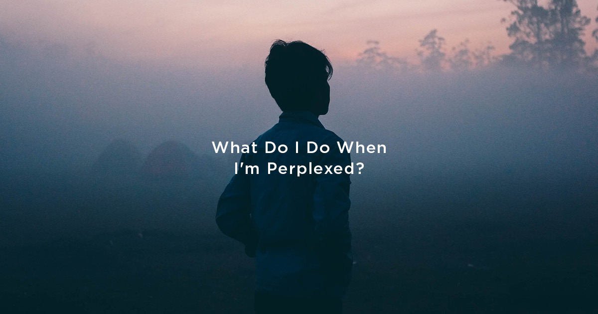 What Do I Do When I'm Perplexed? | The Good Book Blog