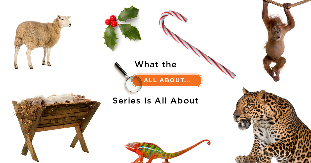 What the All About… Series Is All About | The Good Book Blog