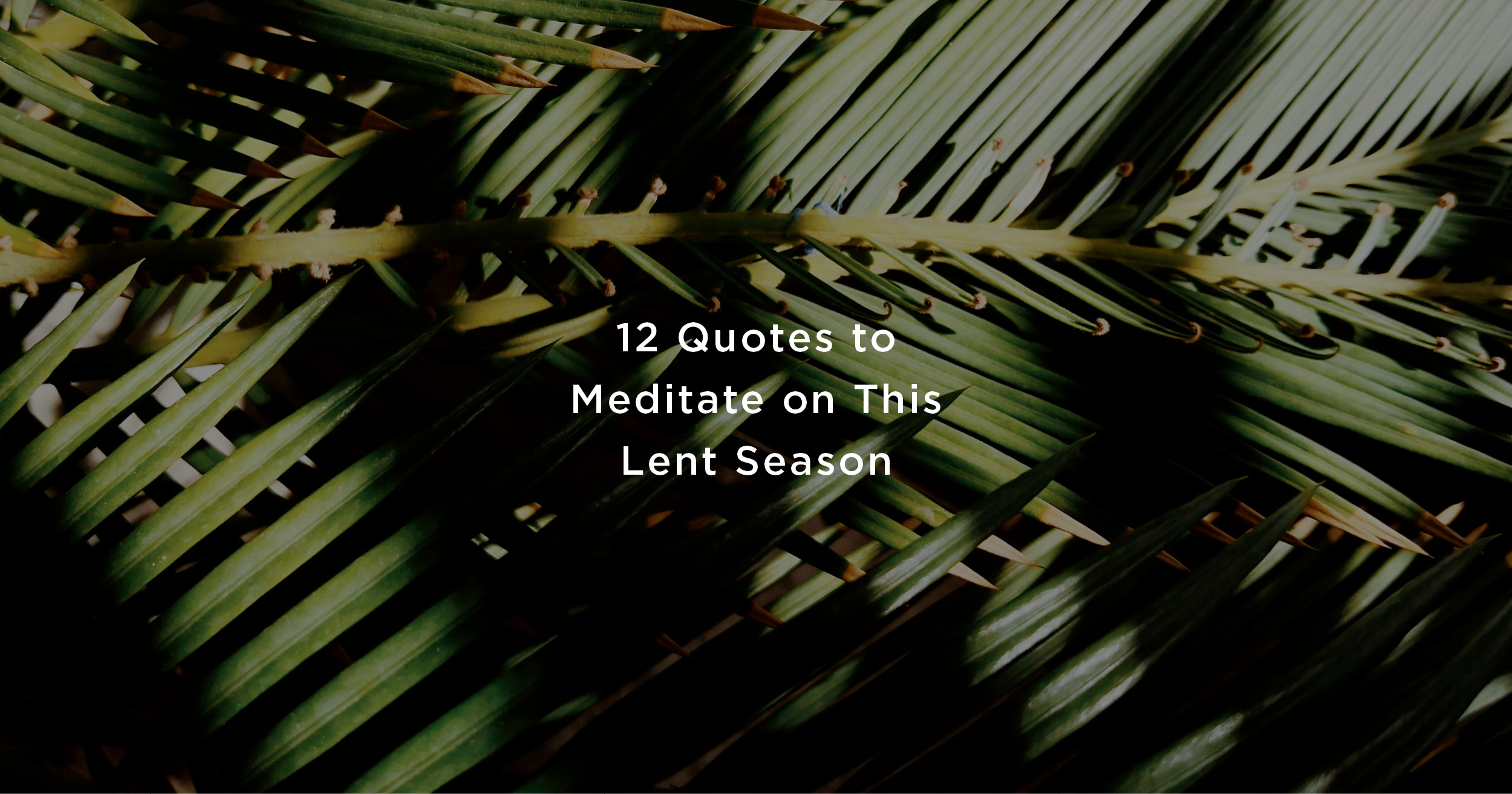 12 Quotes To Meditate On This Lent Season The Good Book Blog